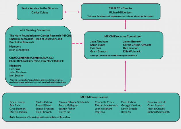 Governance | Integrated Cancer Medicine